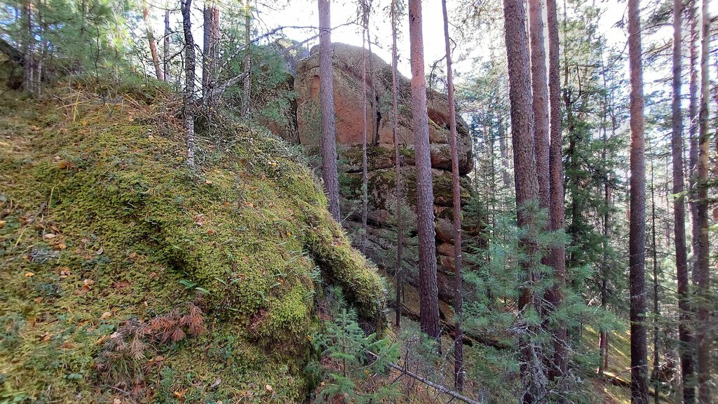 Dağ zirvesi Скала Гребешок, Krasnoyarski krayı, foto