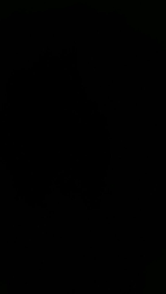 Emlak ofisi Ceren Emlak, Ankara, foto