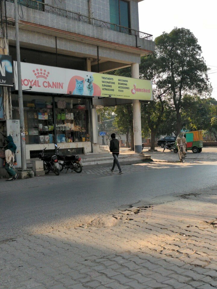 Hayvanat bahçesi merkezi Royal canin surgeries, Lahor, foto