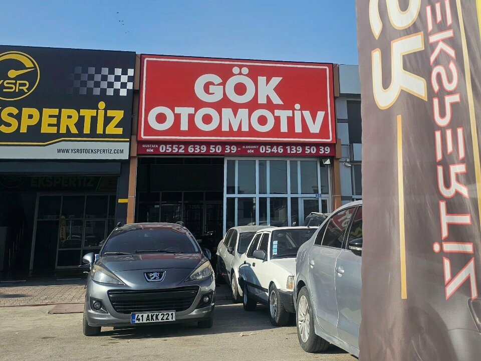 Otomobil satış galerileri Gök Otomotiv, Konya, foto