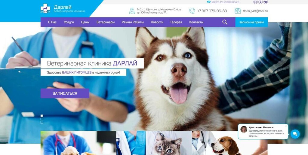 Web tasarım hizmetleri Creating Websites, Moskova, foto