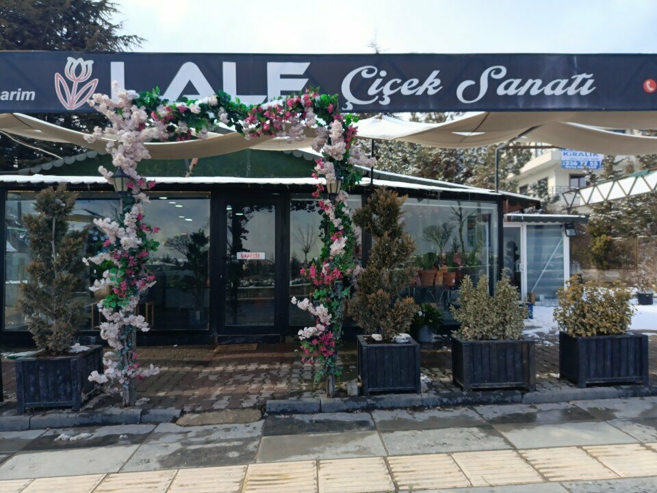 Çiçekçiler Lale Çiçek Sanatı, Ankara, foto