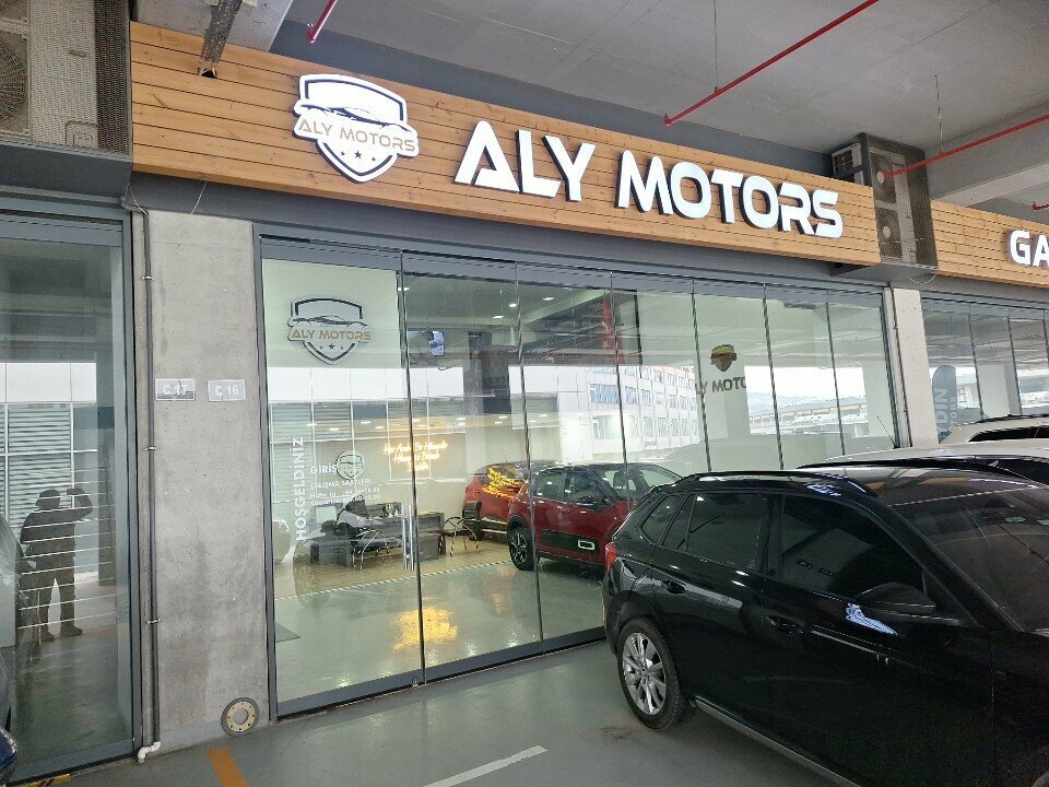 Otomobil satış galerileri Aly Motors, İstanbul, foto