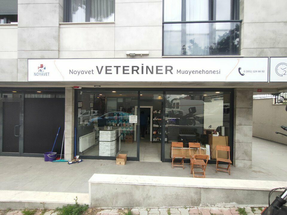 Veteriner klinikleri Noyavet Veteriner, İstanbul, foto
