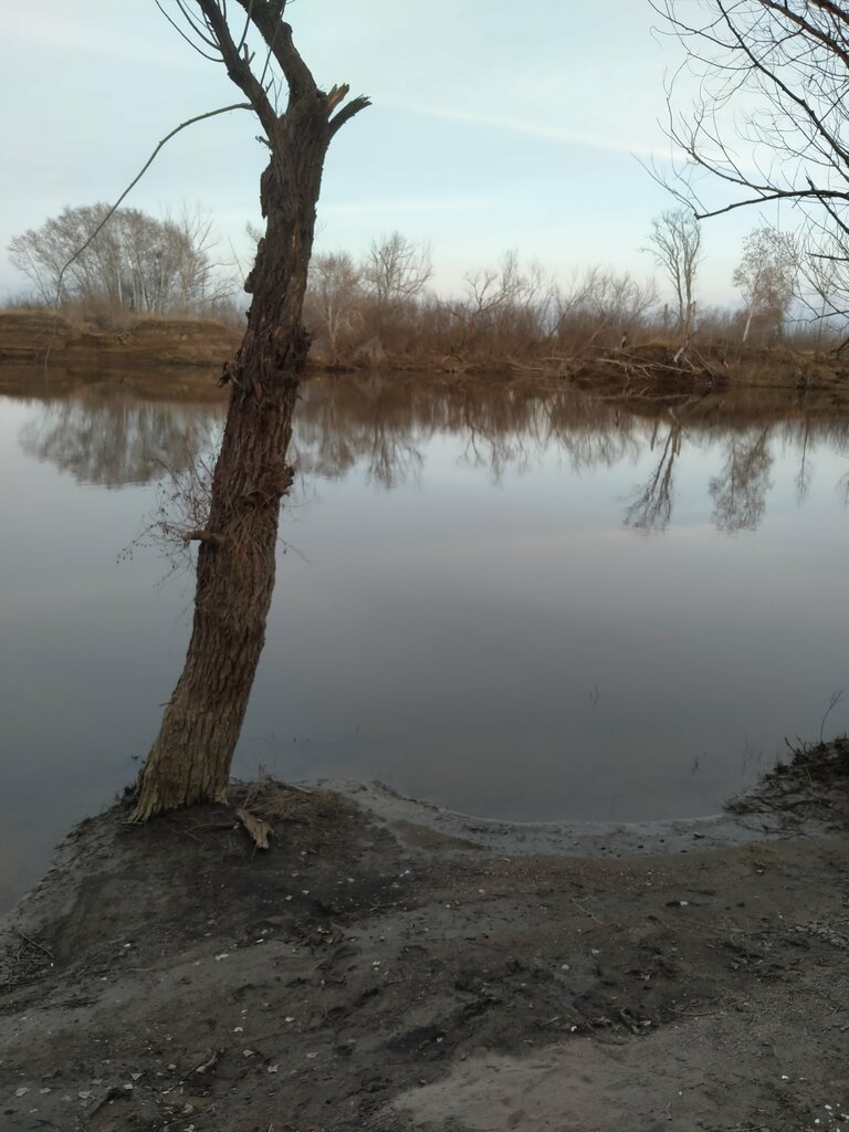 Plaj Пляж, Orenburgskaya oblastı, foto