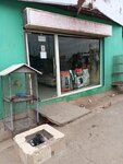 Aquário Dourado (Luanda, Avenida Dom Moisés Alves de Pinho), petshop  Loanda'dan