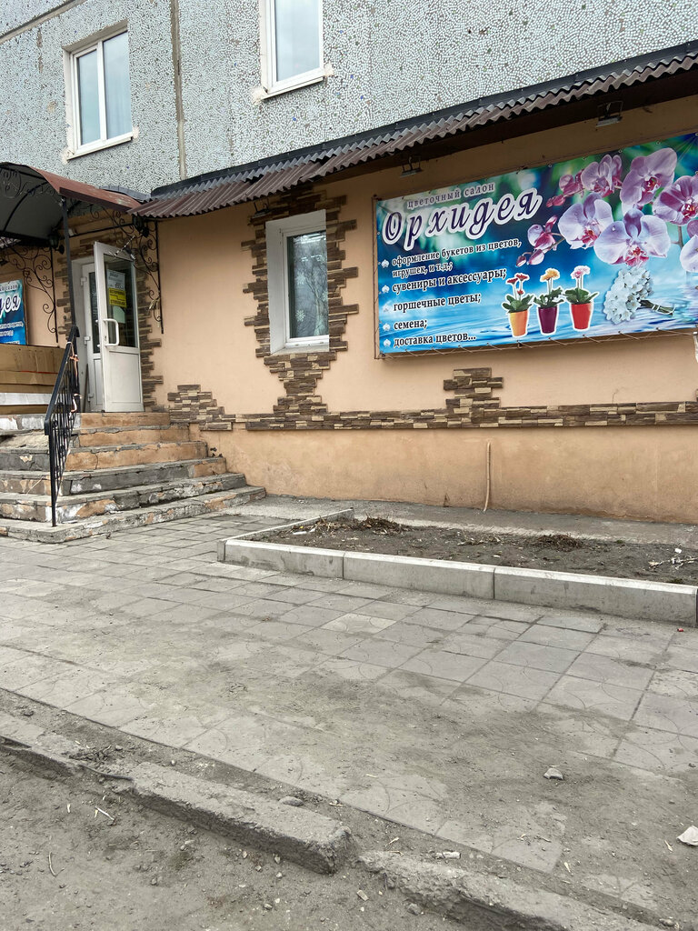 Çiçekçiler Орхидея, Amursk Bölgesi, foto