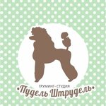 Poodle Strudel (Slepnyova Street No:37), evcil hayvan kuaförleri  Yaroslavl'dan