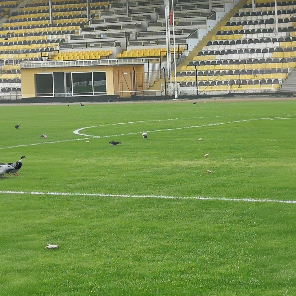 Stadyum Namık Kemal Stadyumu, Süleymanpaşa, foto