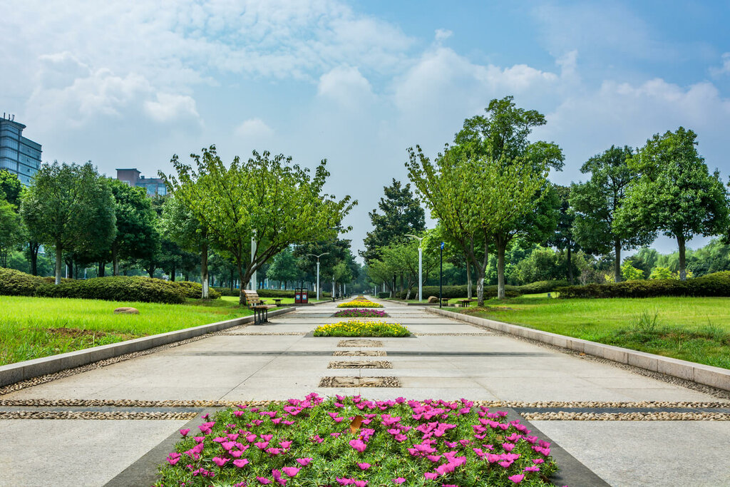 Peyzaj tasarımı Regal Landscaping LLC, Dubai, foto