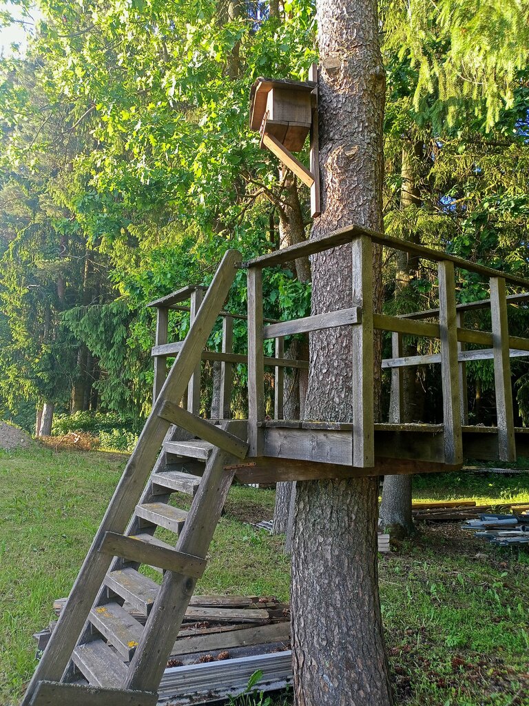 Otel Дом у леса, Pskovskaya oblastı, foto