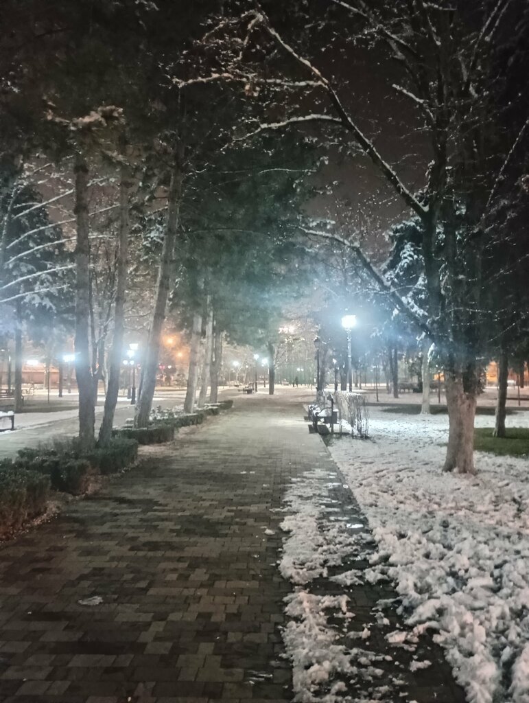 Kültür ve eğlence parkları сквер им. Л.Н. Толстого, Krasnodar, foto