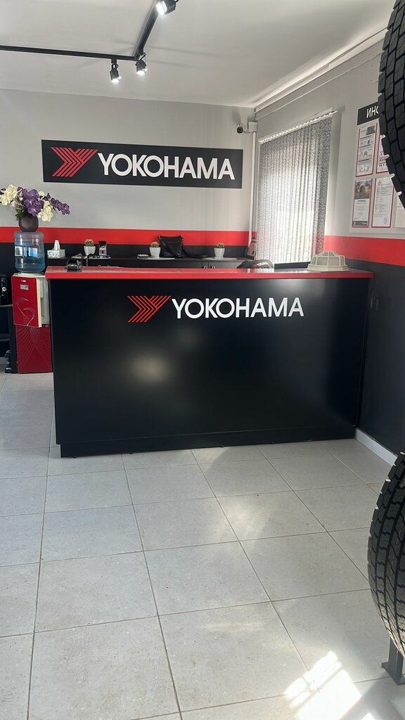 Oto lastik tamiri Шина-Моторс 23 Yokohama, Bronnitsy, foto