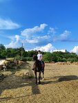 Horse Travel (Revolyutsionnaya ulitsa No:164, Rostov-on-Don), at ve binicilik kulüpleri  Rostov‑na‑Donu'dan