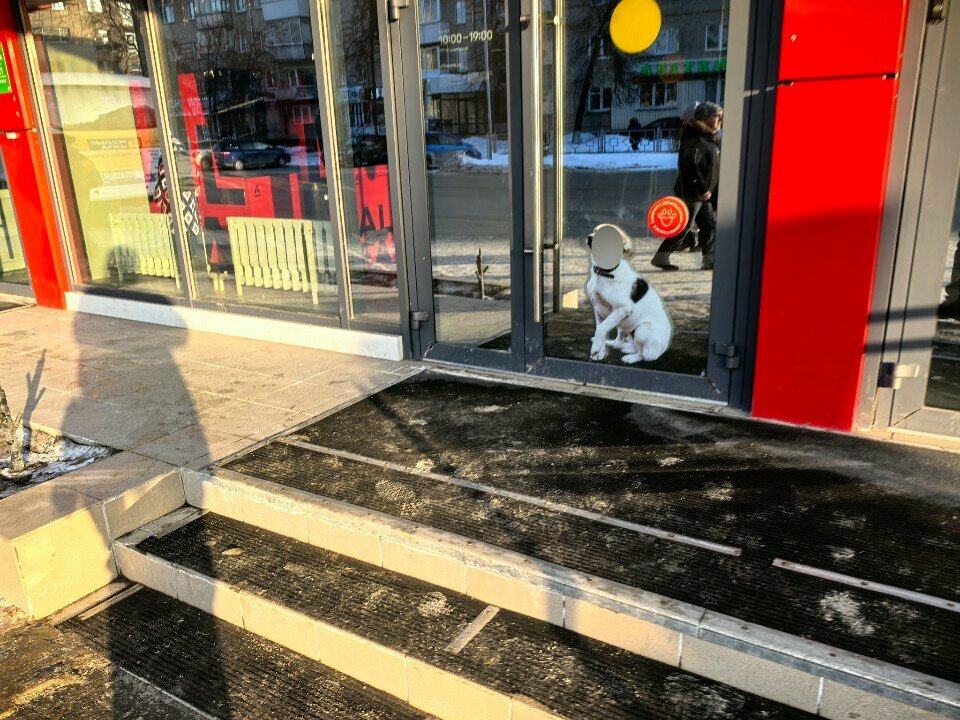 Banka Альфа-Банк, Berdsk, foto