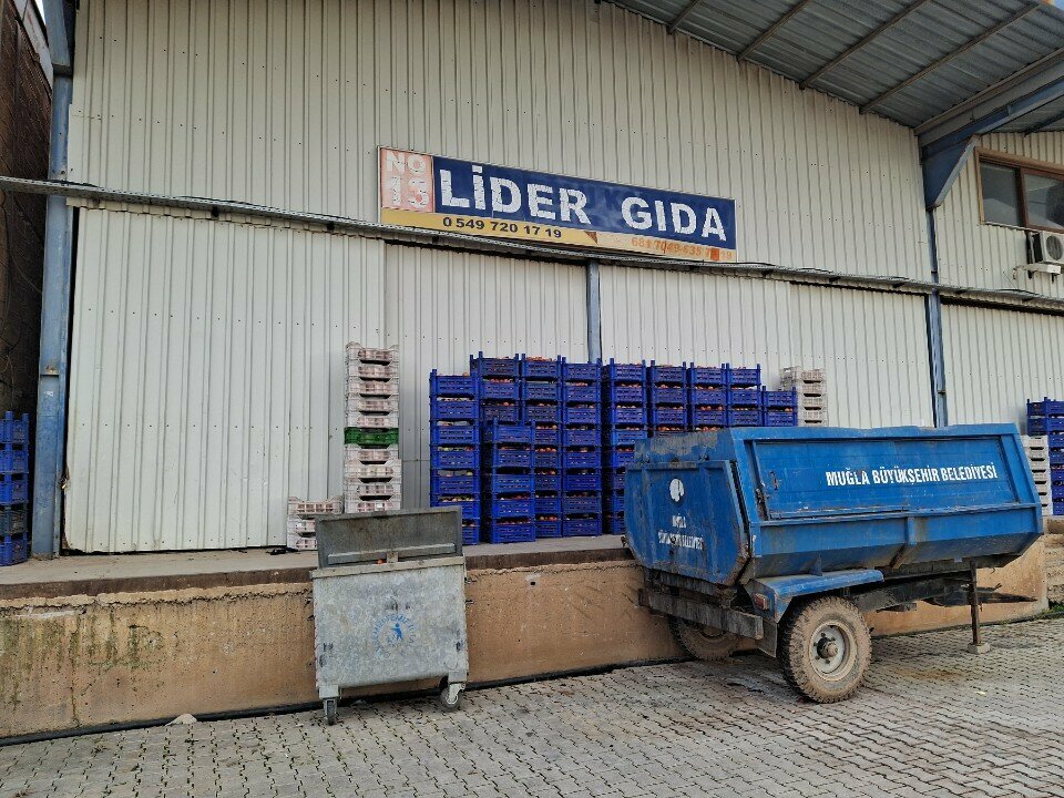 Toptan sebze ve meyve satışı Lider Gıda, Fethiye, foto