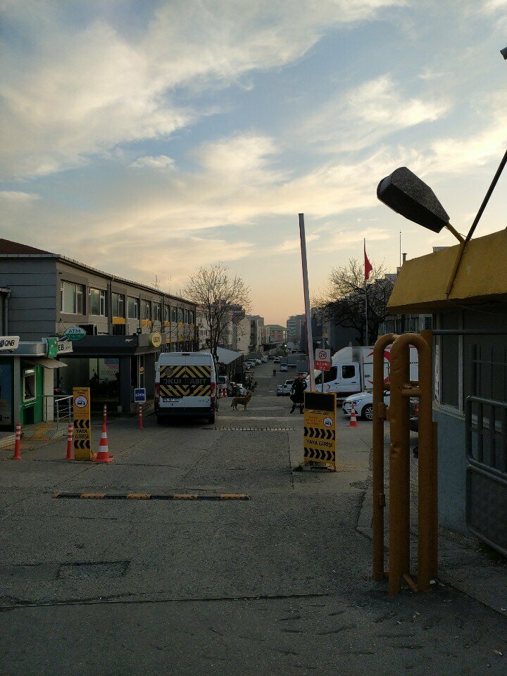 Mobilya mağazaları Eskidji Bazaar, İstanbul, foto