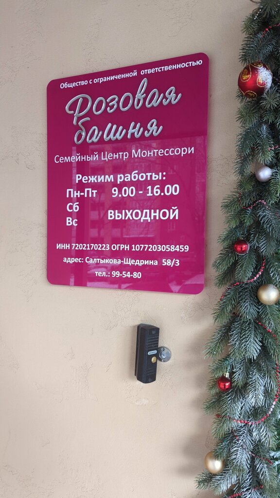 Çocuk gelişim merkezleri Розовая башня, Tiumen, foto