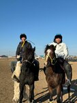 Argymaq Atyrau (Atyraý qalalyq ákimdigi, Qaıyrshaqty aýyldyq okrýgi, Neftánık baq telimi), at ve binicilik kulüpleri  Atırav eyaletinden