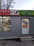 Кроссовки куртки (Institutskaya ulitsa No:вл25, Nakhabino Urban-type Settlement), ayakkabı mağazaları  Moskova ve Moskovskaya oblastından