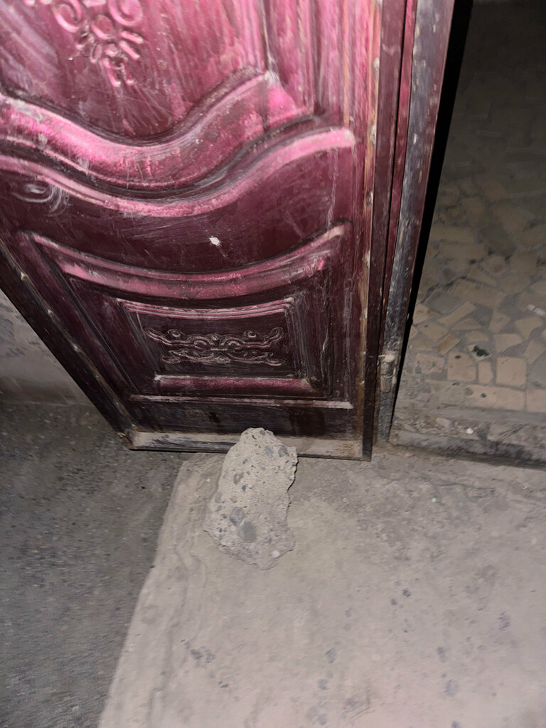 Evcil hayvanlar için ürünler Dino zoo, Fergana, foto