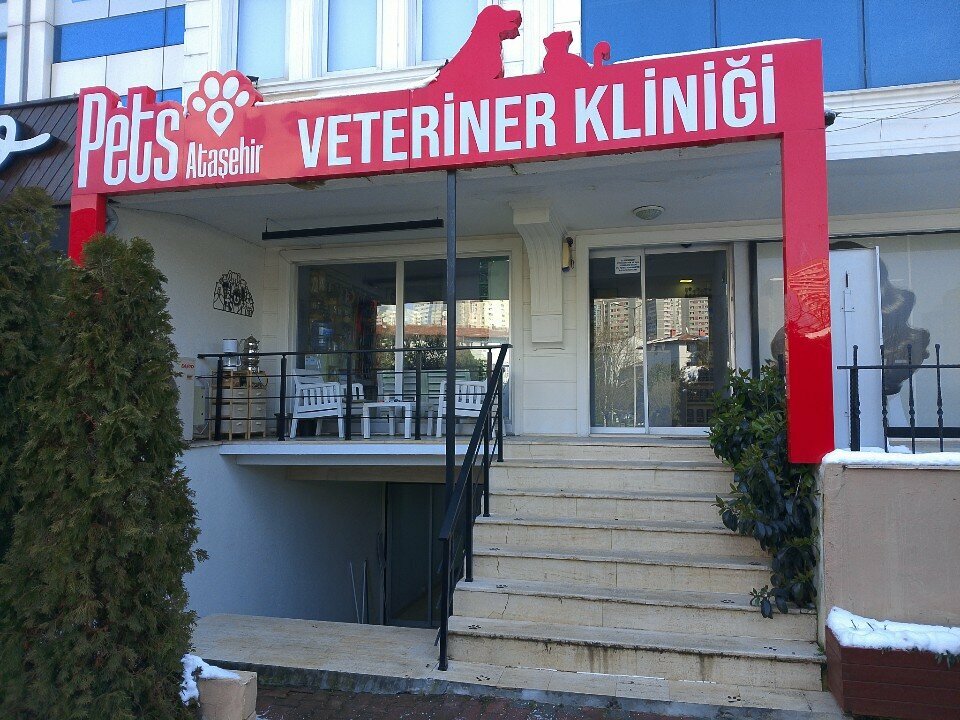 Evcil hayvan kuaförleri Pets Ataşehir Veteriner Kliniği, İstanbul, foto
