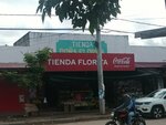 Tienda Florita (Santa Cruz de la Sierra, Avenida Octavo Anillo), mefruşat  Dünya'dan