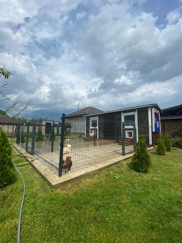 Evcil hayvan yetiştiricileri JudiTeilor, Brestskaya oblastı, foto