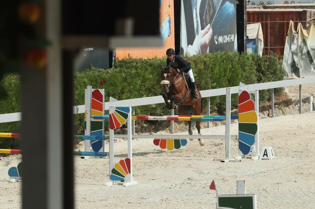 At ve binicilik kulüpleri Aslan Horse Club, Taşkent, foto