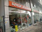 Royal aligator (Shavsheti Street No:24), i̇nşaat gereçleri  Batum'dan