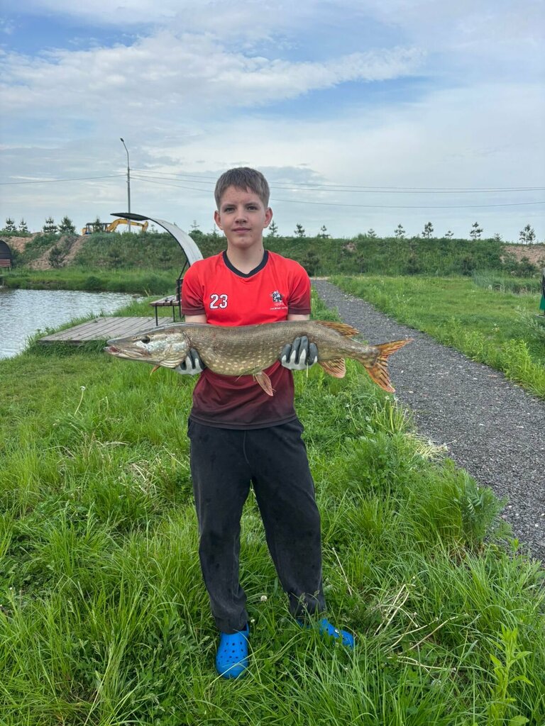 Balıkçılık ekipman firmaları Товары для рыбалки, Vladimirskaya oblastı, foto