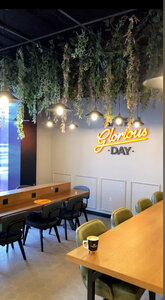 Gloria Jean's Coffees (İstanbul, Esenyurt, Mevlana Mah.), kahve dükkanları  İstanbul'dan