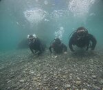 Аурелия (Набережная улица No:39, Судак), dalış kulüpleri ve eğitim merkezleri  Kırım Cumhuriyeti'nden