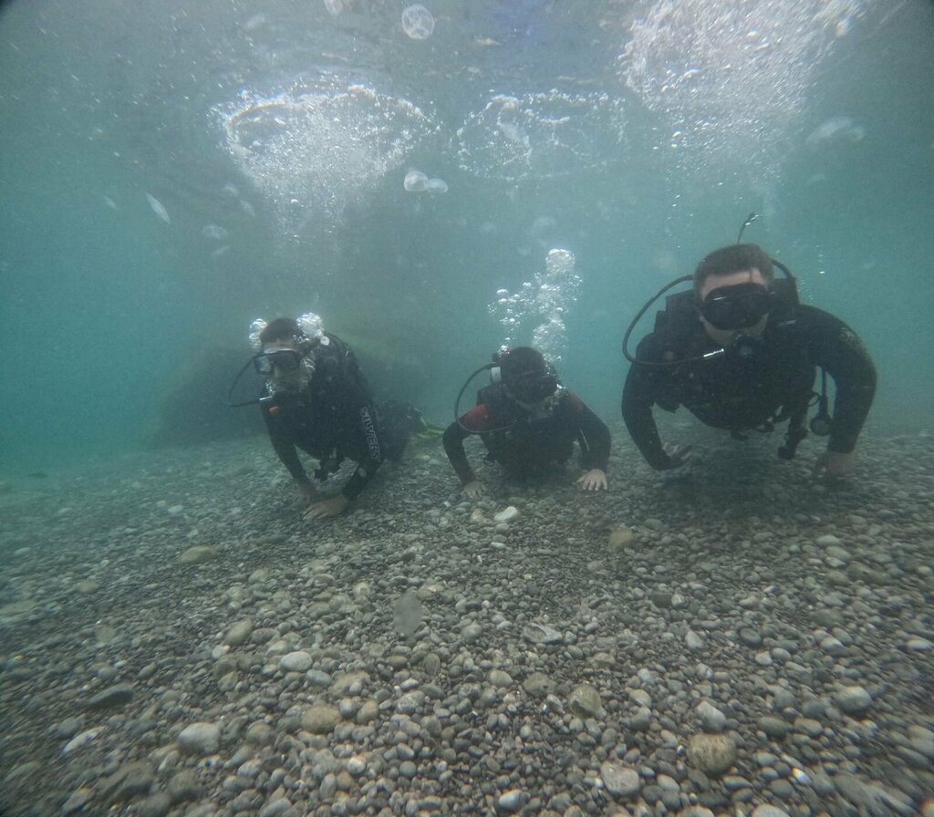 Dalış kulüpleri ve eğitim merkezleri Аурелия, Sudak, foto