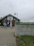 Public bathroom (Bresckaja voblasć, Ivacevicki District, Jaglievicki Rural Council), tuvalet  Brestskaya oblastından