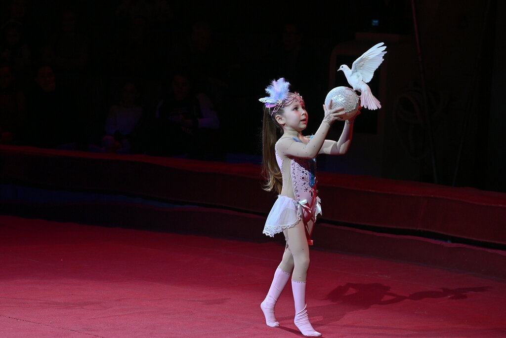 Dans okulları Чудесный цирк, Kolpino, foto