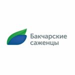 Бакчарские Саженцы (Frunze Avenue No:119/38), fidan yetiştiriciliği  Tomsk'tan