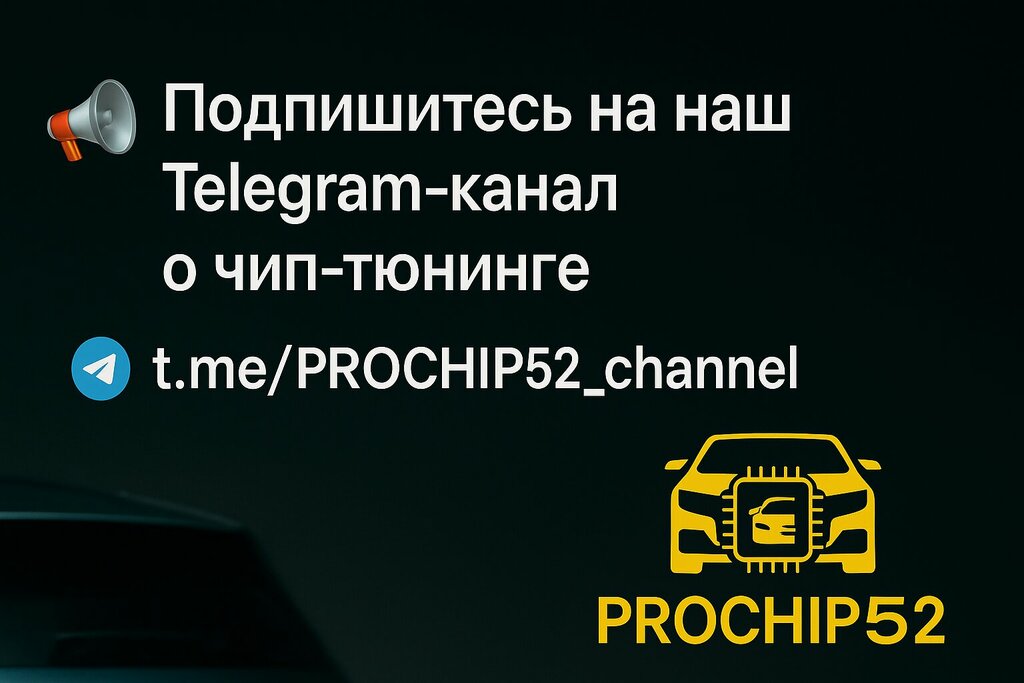 Otomobil servisi Prochip52, Nijegorodskaya oblastı, foto