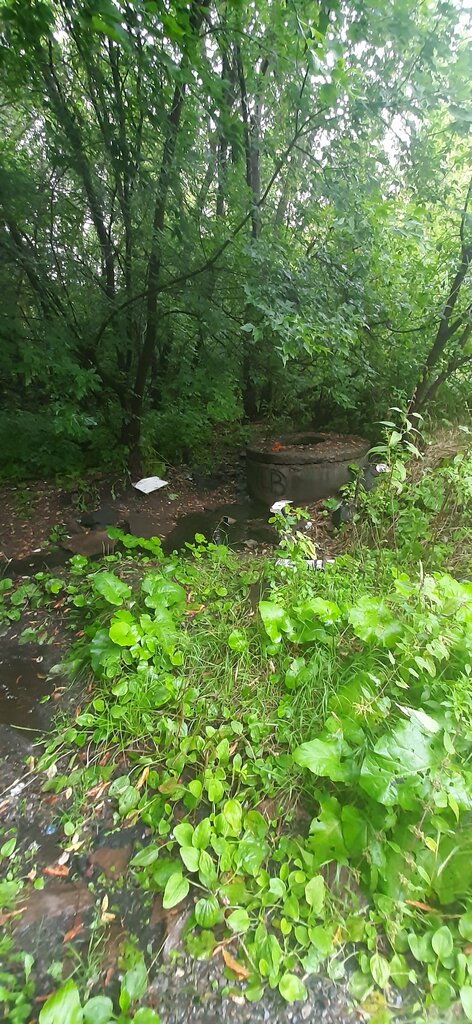 Pınar, çay Spring, stream, Magnitogorsk, foto