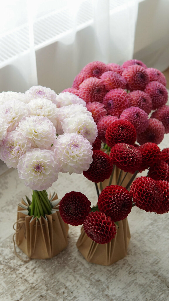 Çiçekçiler Osoka, Moskova, foto