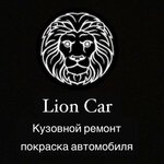 Lion Car (Revolyutsionnaya Street No:1А), araba boyama  Tver'den