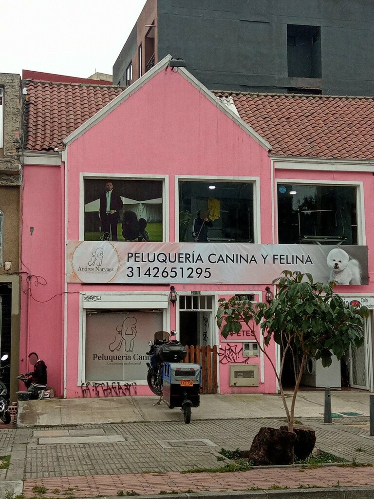Kuaförler Peluquería Canina y Felina, Andrés Narváez, Bogota, foto