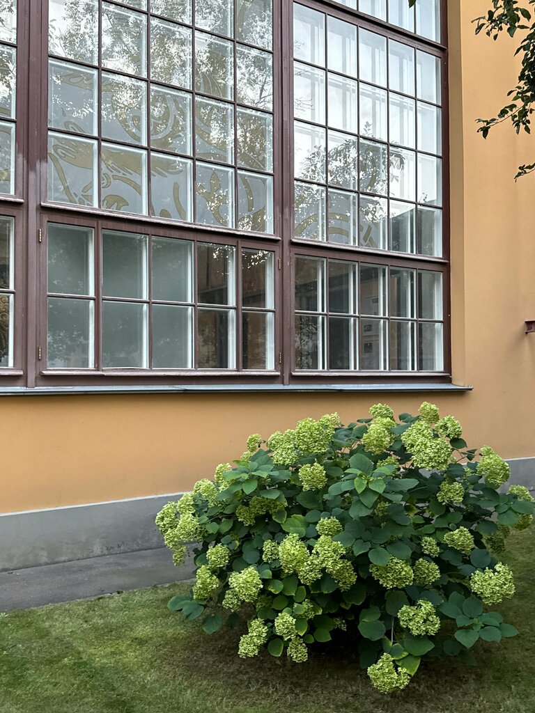 Turistik yerler Дом-мастерская В.И. Мухиной, Moskova, foto