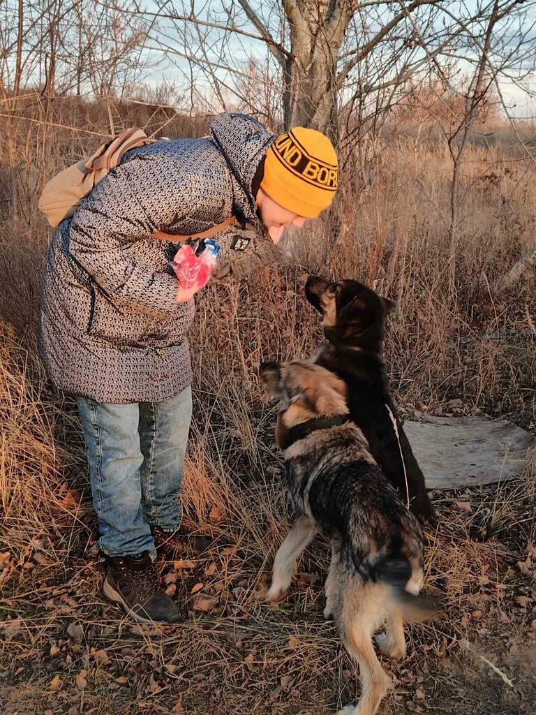 Mühendislik altyapısı Очистное сооружение, Ulyanovsk, foto