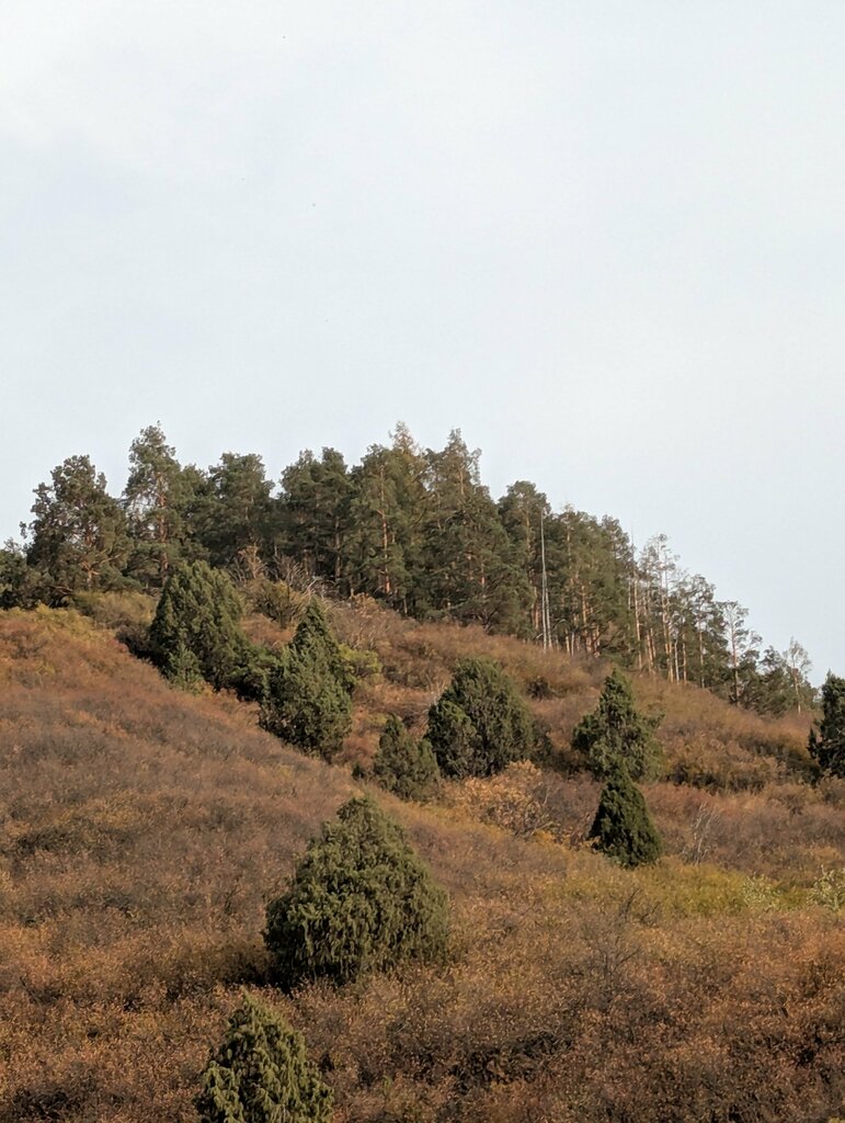 Doğa Ущелье Бир-Булак, Çuy ili, foto