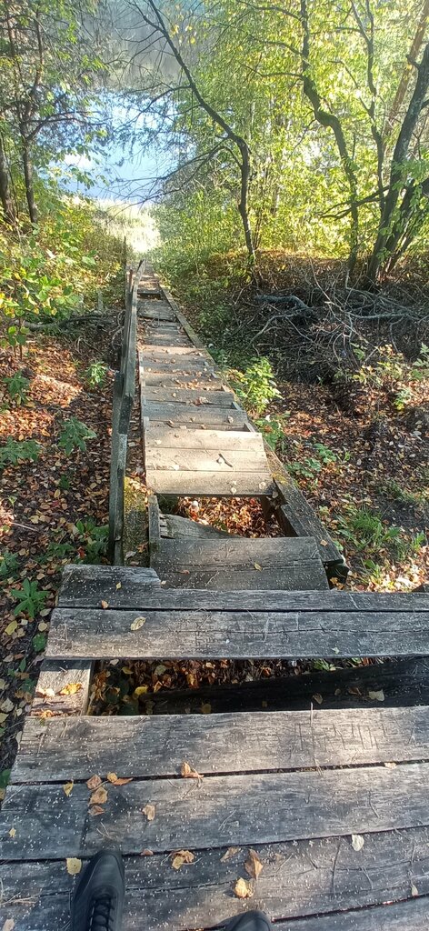 Kültür ve eğlence parkları Берёзовая роща, Vologodskaya oblastı, foto