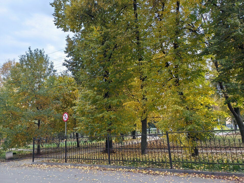 Oyun alanı Playground, Riazan, foto