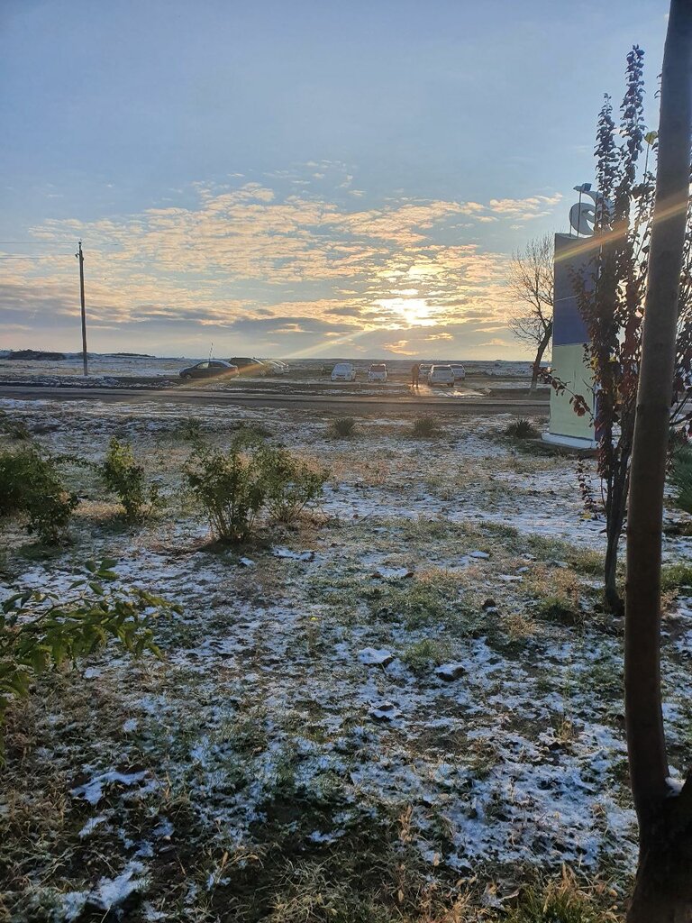 Tıp merkezleri ve klinikler Diyora Clinic, Çırçık, foto