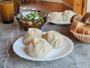 Позная (Republic of Buryatia, Selenginskiy District, selskoye poseleniye Novoselenginskoye, territoriya Mestnost Talyn Khargana), fast food  Buriatya'dan