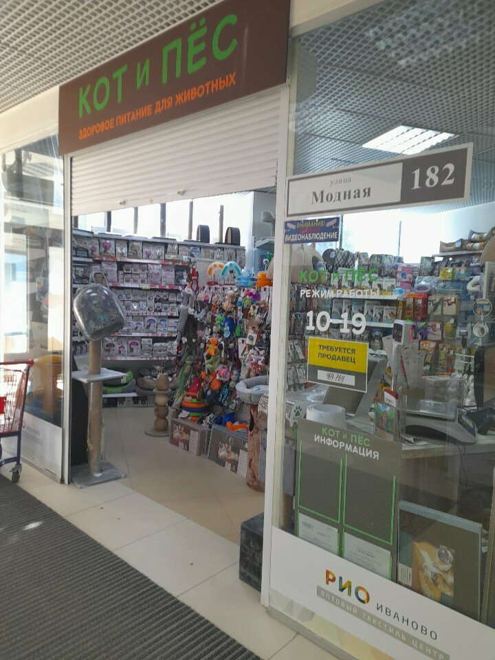 Petshop Кот и пёс, İvanovo, foto